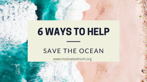 6 Ways To Help Save The Oceans - Motivated Mom